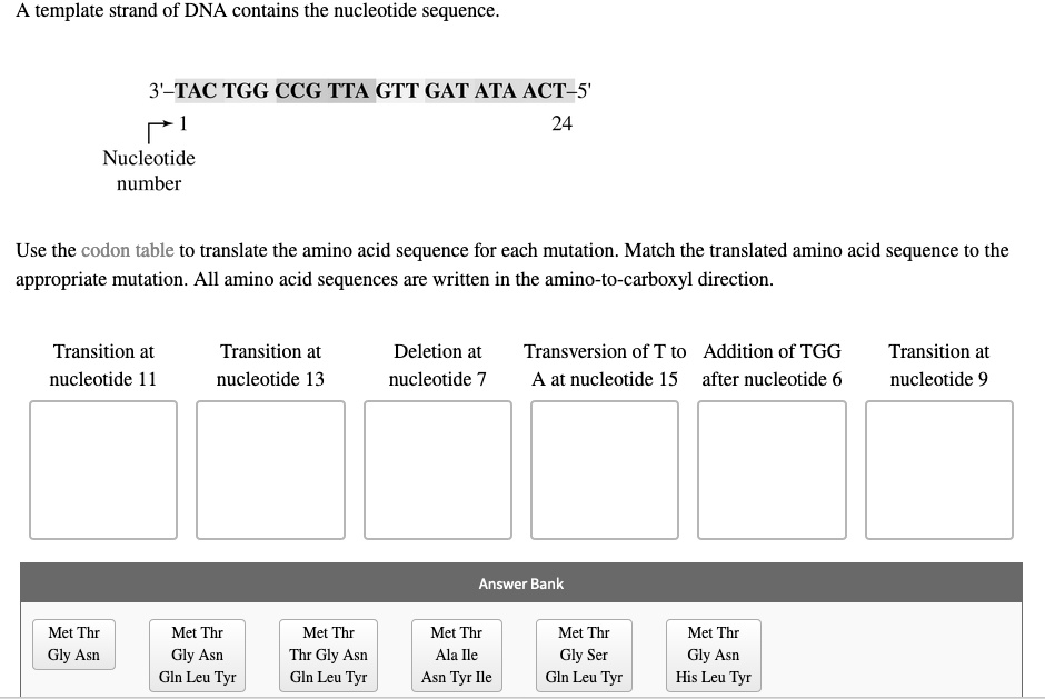SOLVED: Text: The template strand of DNA contains the nucleotide ...