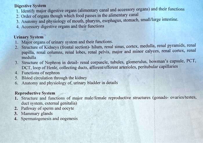 Digestive System 1. Identify major digestive organs (alimentary canal ...