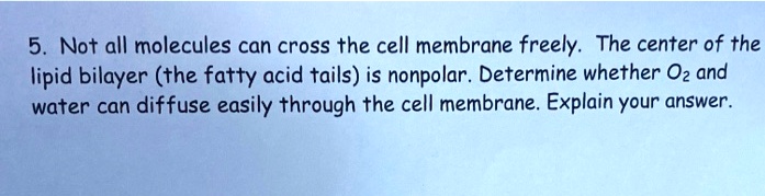 SOLVED: 5 Not all molecules can cross the cell membrane freely. The center of the lipid bilayer ...