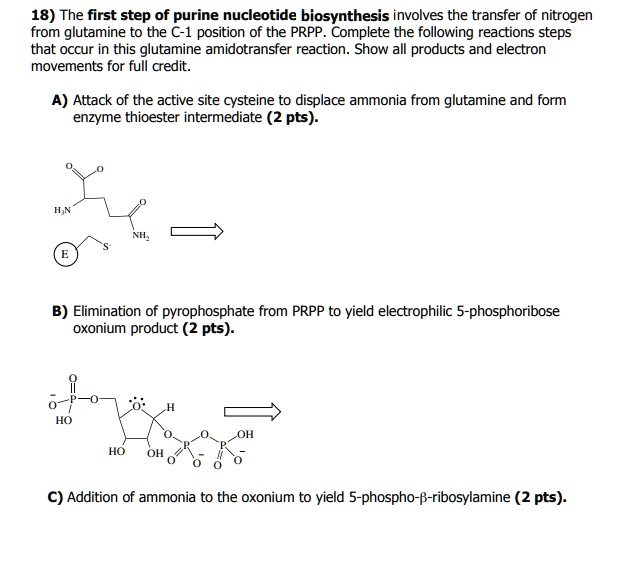 SOLVED: 18) The first step of purine nucleotide biosynthesis involves ...