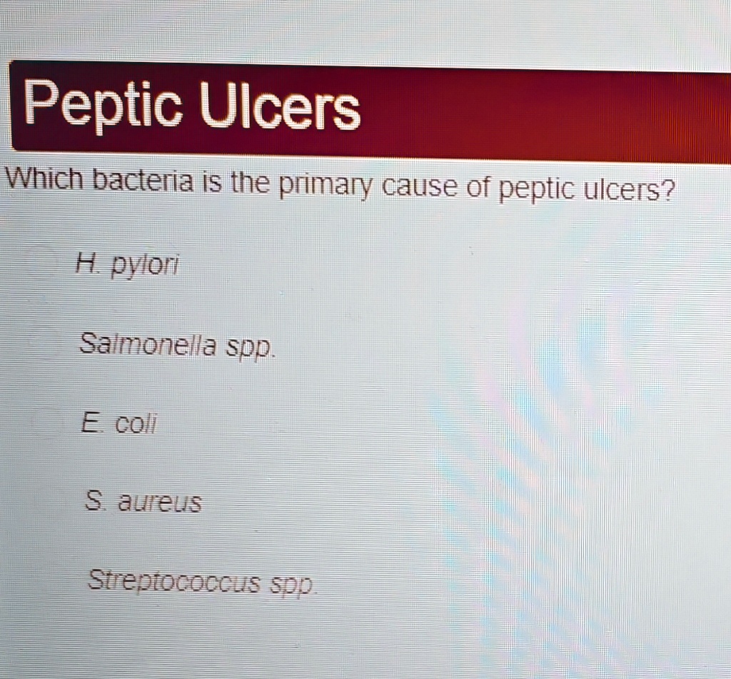 Peptic Ulcers Which bacteria is the primary cause of peptic ulcers? H ...