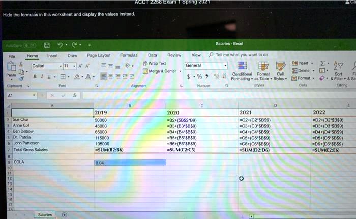 ACCT 2258 Exam 1 Spring 2021 Hide the formulas in this worksheet and ...