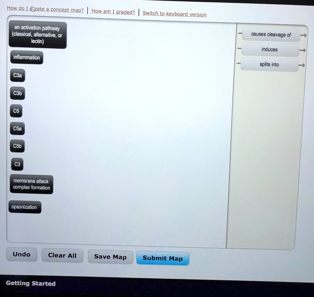 SOLVED: Launch the Concept Map. Drag the terms and phrases to build a ...