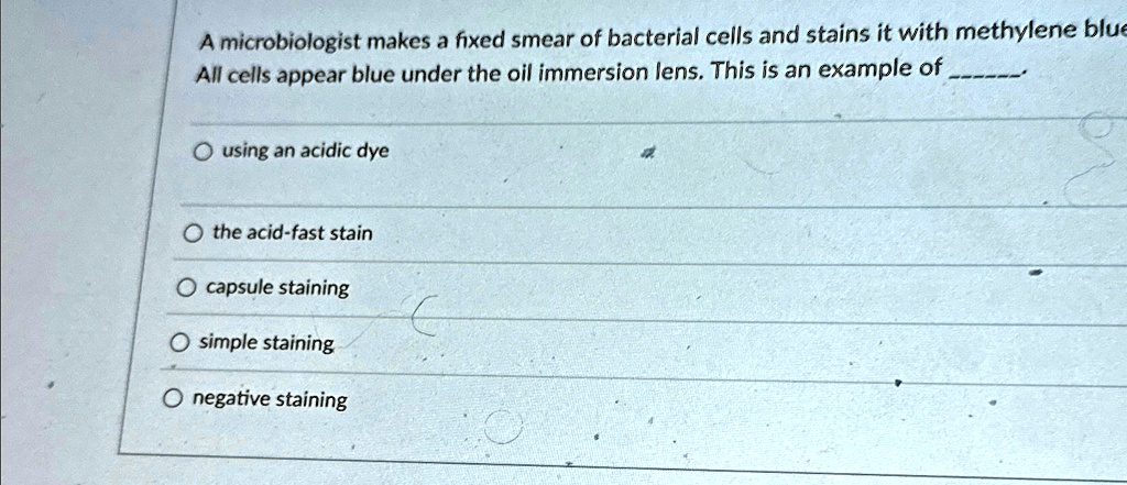 A microbiologist makes a fixed smear of bacterial cells and stains it ...
