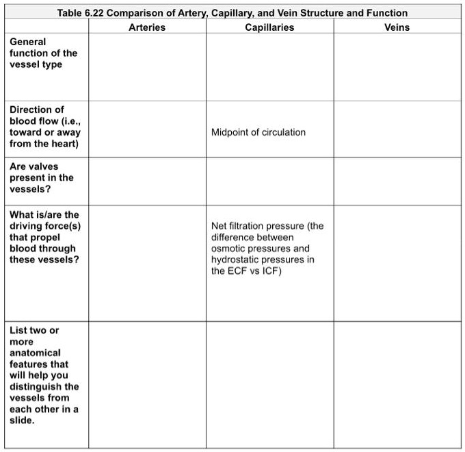 Table 6.22 Comparison of Artery, Capillary, and Vein Structure and ...