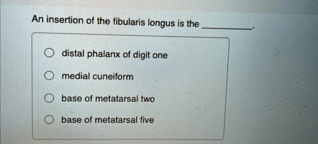 An insertion of the fibularis longus is the distal phalanx of digit one ...