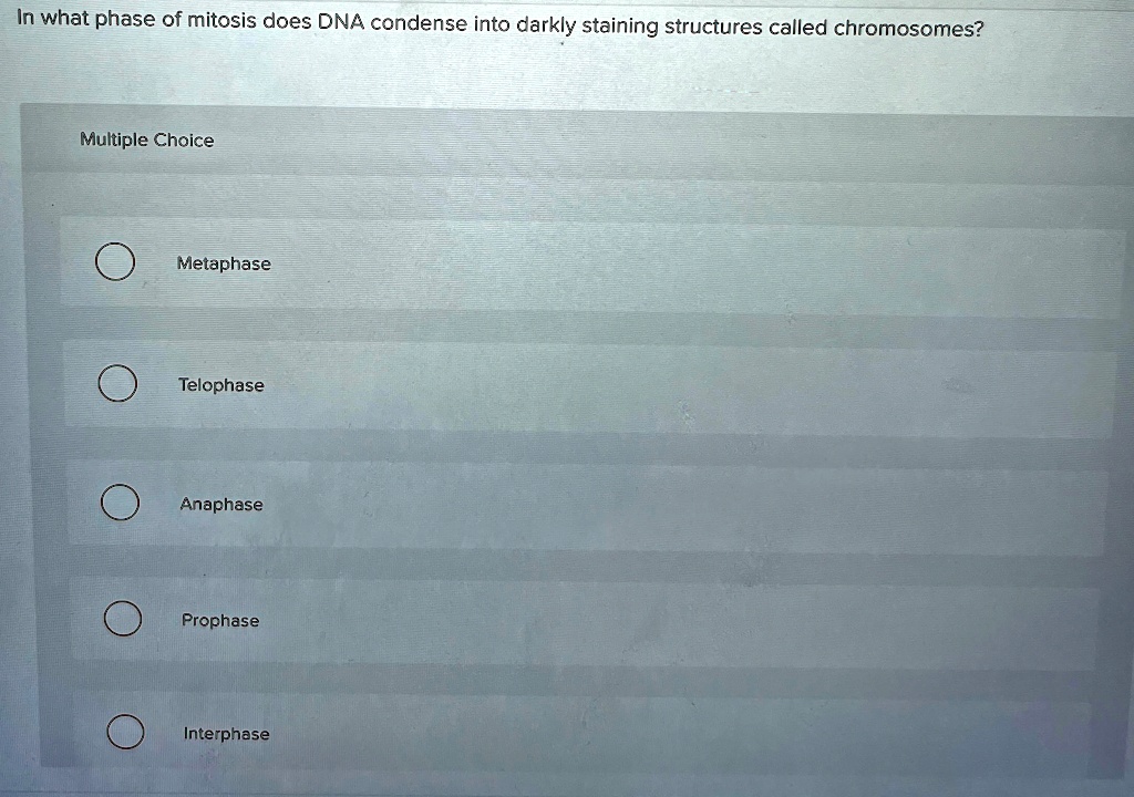 in what phase of mitosis does dna condense into darkly staining ...