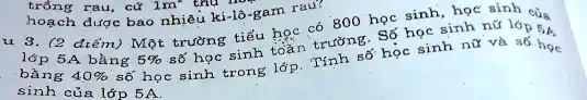 tr?ng rau, c? 1m² ho?ch ???c bao nhiêu ki-lô-gam rau? u 3. (2 ?i?m) M?t tr??ng ti?u h?c có 800 h ...