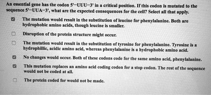 An essential gene has the codon 5'-UUU-3' in a critical position. If ...