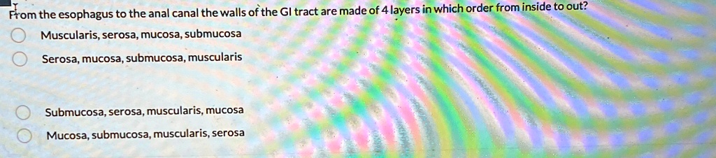 From the esophagus to the anal canal the walls of the Gl tract are made ...