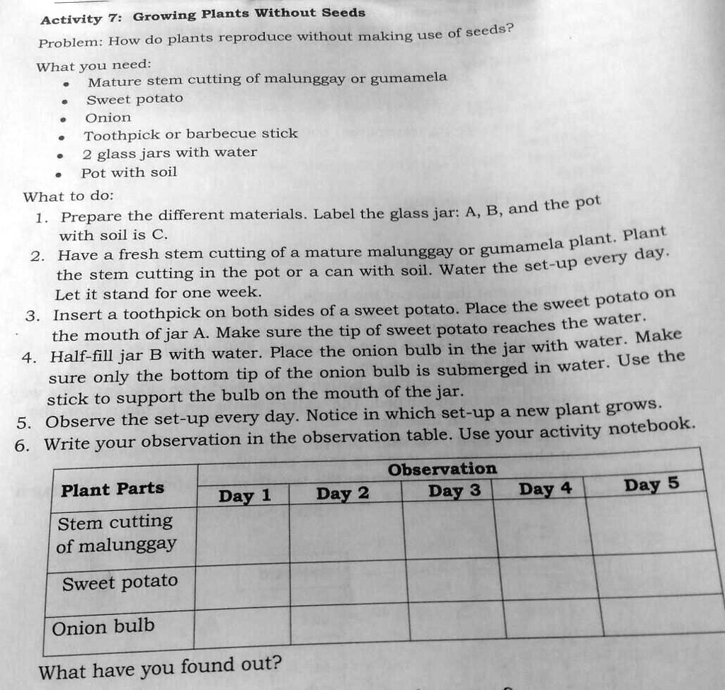 Activity 7: Growing Plants Without Seeds Problem: How do plants ...