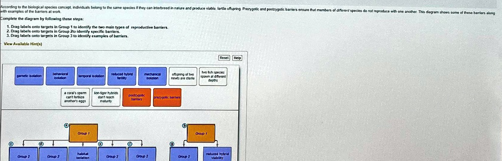 With examples of the barriers at work. Complete the diagram by following these steps: Drag ...