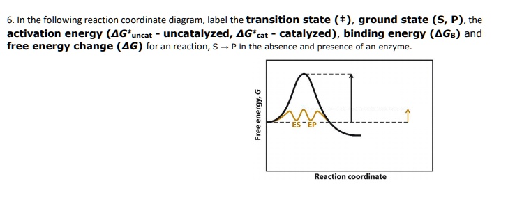 6 in the following reaction coordinate diagram abeb the transition ...