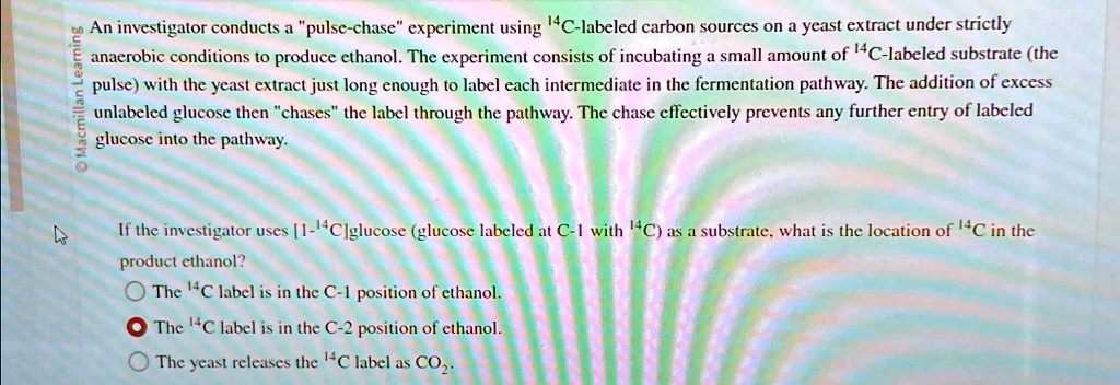 SOLVED: an An investigator conducts a "pulse-chase" experiment using ...
