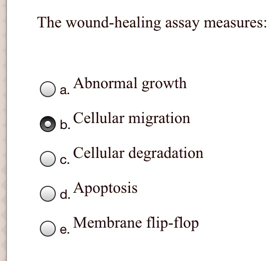 the wound healing assay measures a abnormal growth b cellular migration ...