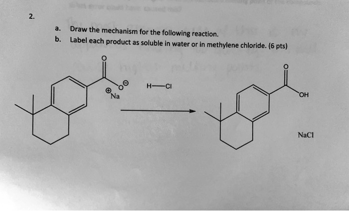 draw the mechanism for the following reaction label each product as ...