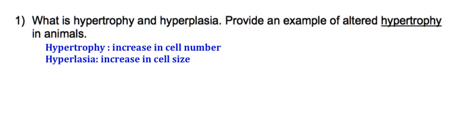 SOLVED: 1) What is hypertrophy and hyperplasia. Provide an example of ...
