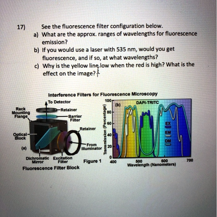 SOLVED:17) See the fluorescence filter configuration below: What are ...