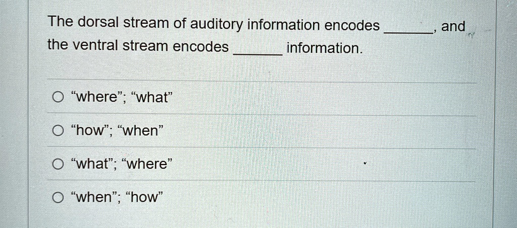 the dorsal stream of auditory information encodes and the ventral ...