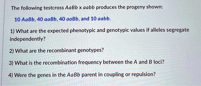 the following testcross aabb x aabb produces the progeny shown 10 aabb ...