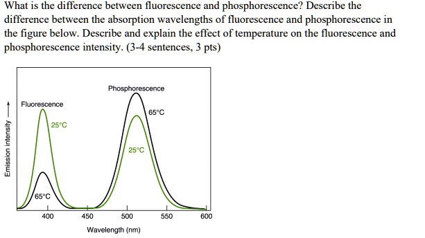 SOLVED:What is the difference between fluorescence and phosphorescence ...