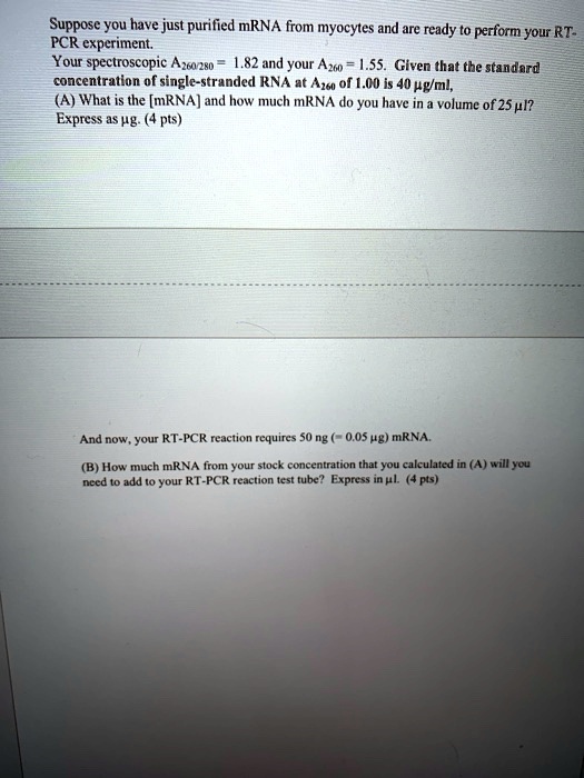 Suppose you have just purified mRNA from myocytes and are ready to ...