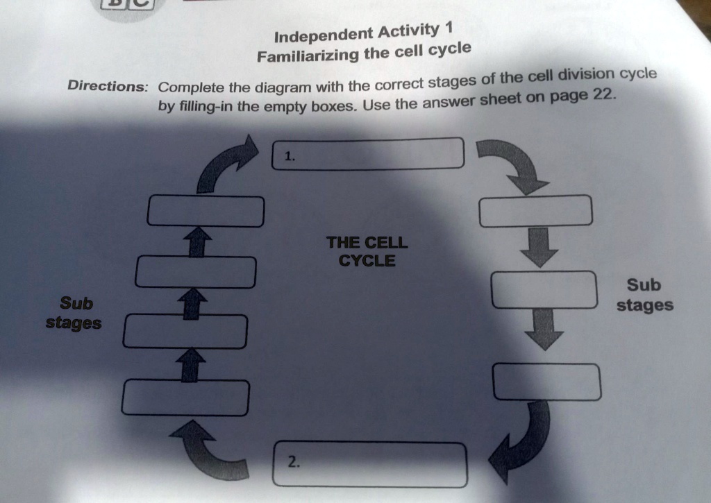 Independent Activity 1 Familiarizing the cell cycle Directions ...