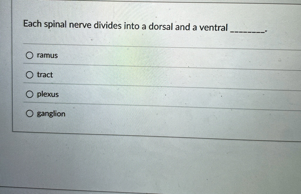 [GET ANSWER] each spinal nerve divides into a dorsal and a ventral ...