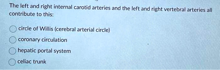 The left and right internal carotid arteries and the left and right ...