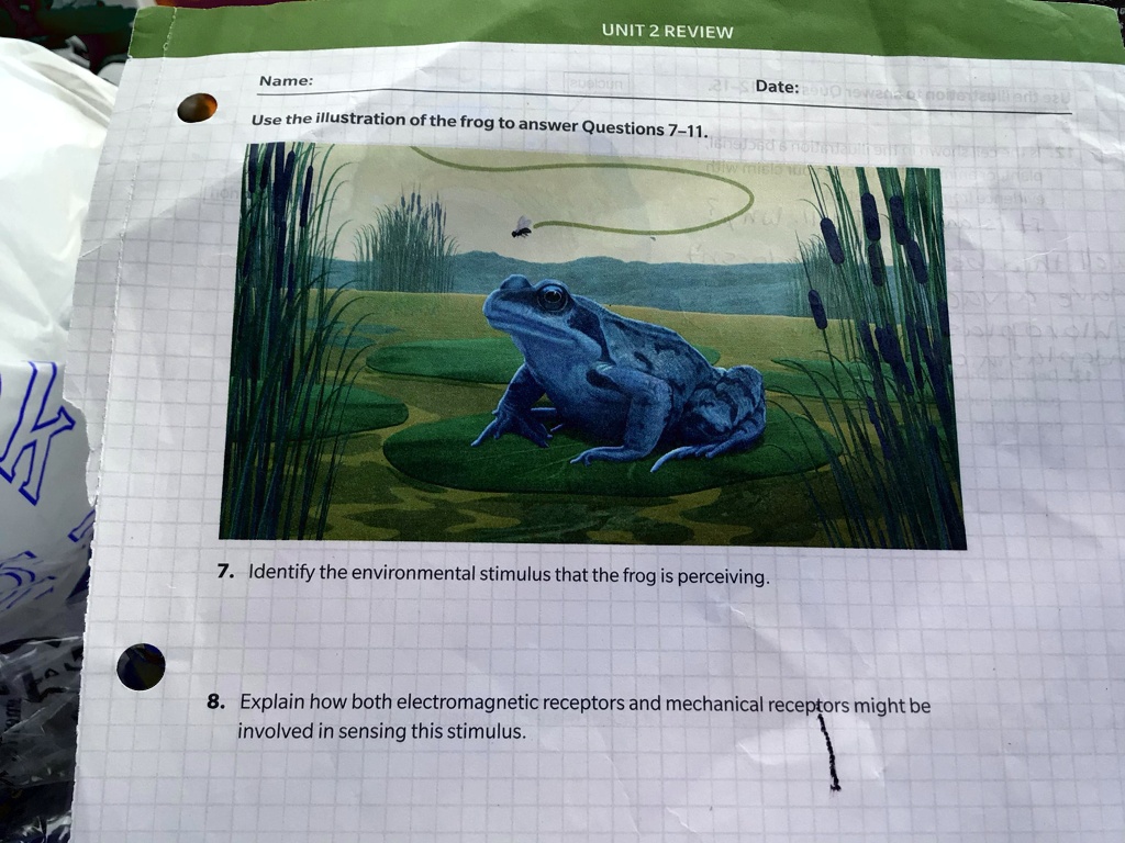 Name: UNIT 2 REVIEW Date: Use the illustration of the frog to answer ...