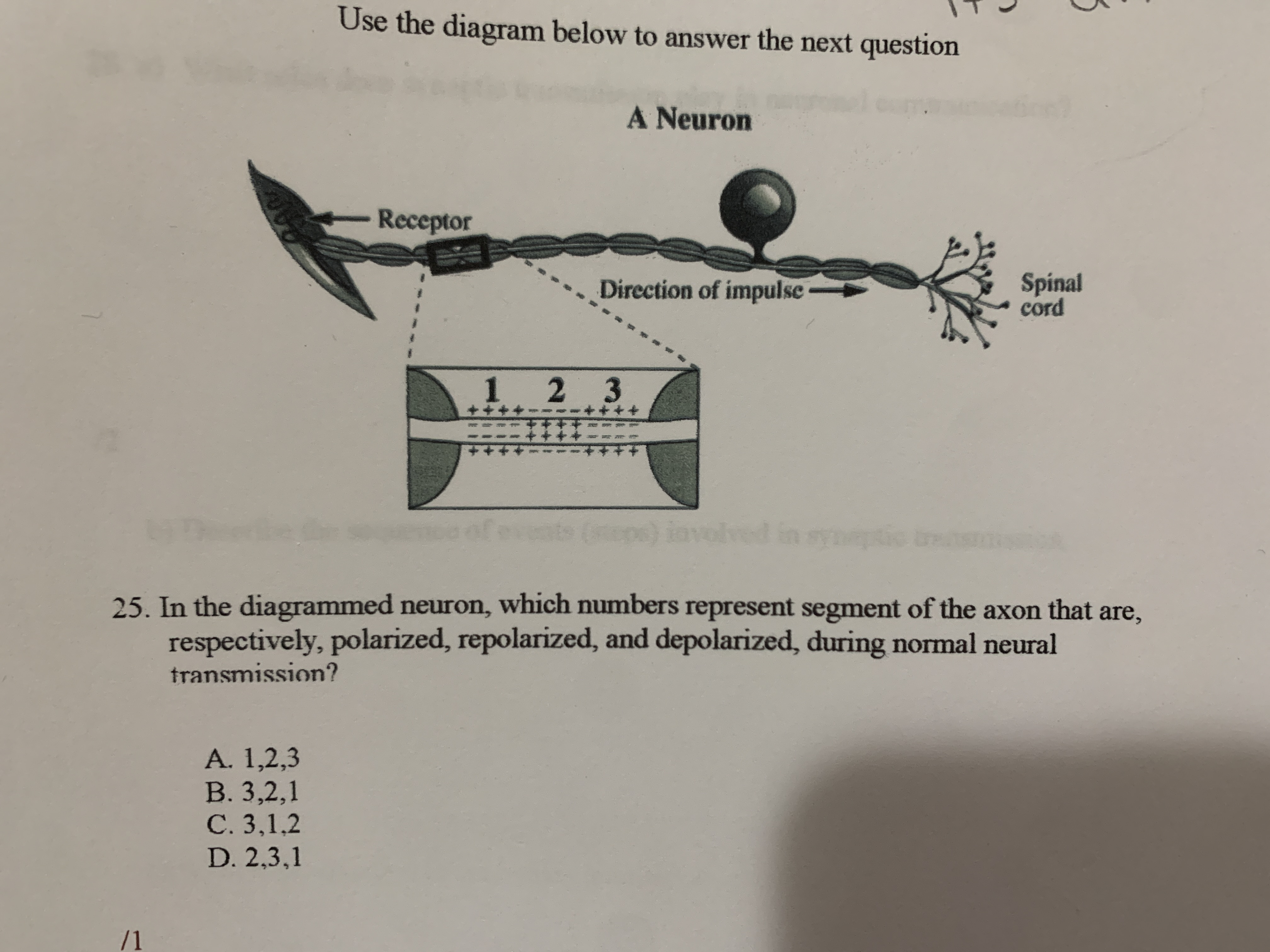 Use the diagram below to answer the next question 25. In the diagrammed ...