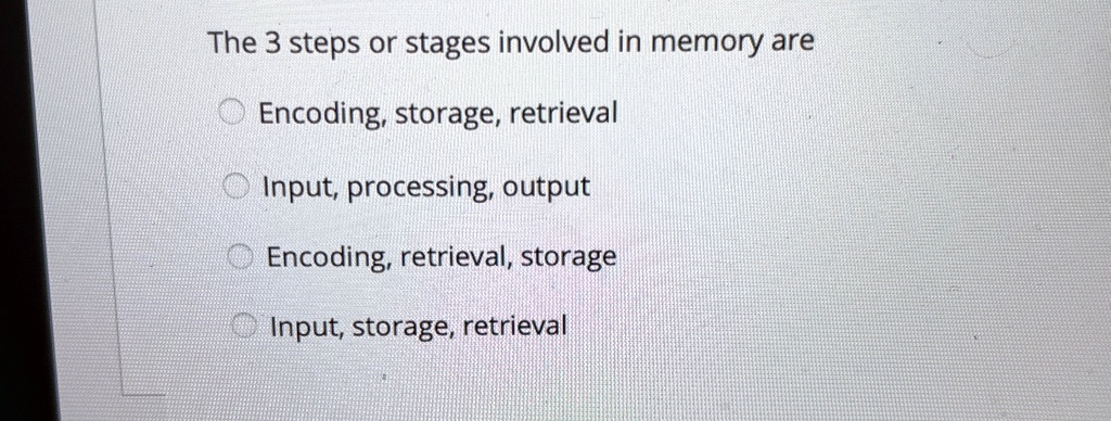 the 3 steps or stages involved in memory are encoding storage retrieval ...