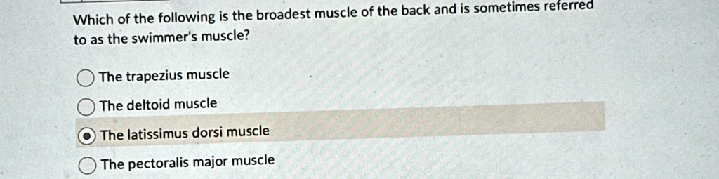 which of the following is the broadest muscle of the back and is ...