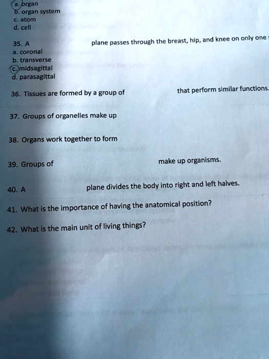 SOLVED: prgan organ system atom d. cell plane passes through the breast ...