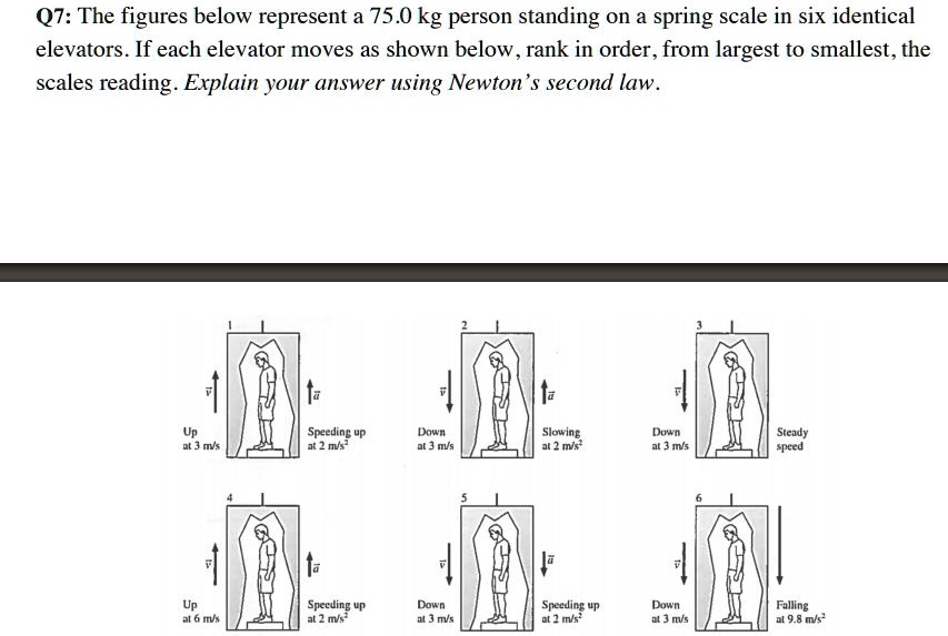 SOLVED: Q7: The figures below represent a 75.0 kg person standing on a ...