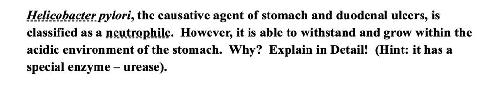 Helicobacter pylori, the causative agent of stomach and duodenal ulcers ...