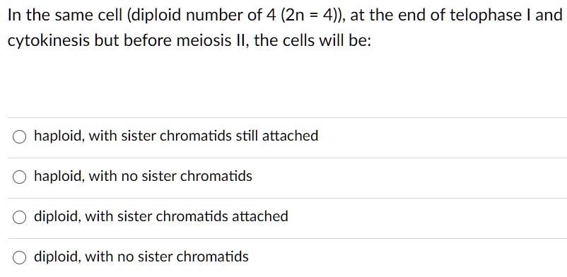 In the same cell (diploid number of 4 (2n = 4)), at the end...