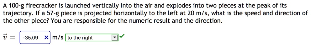 100 g firecracker is launched vertically into the air and explodes into ...
