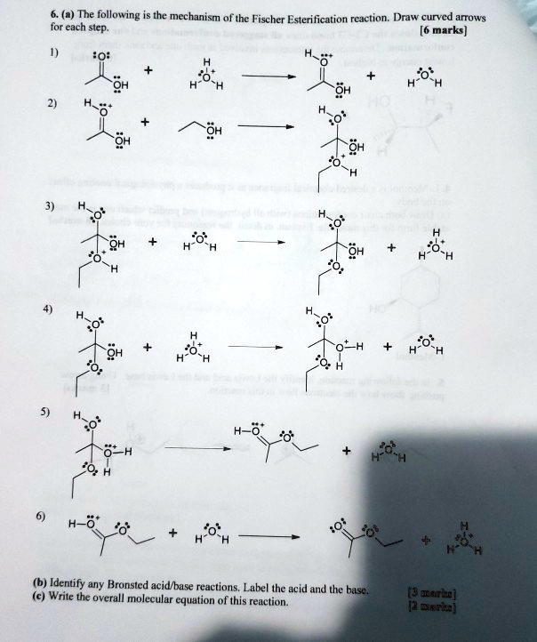 SOLVED: The following is the mechanism of the Fischer Esterification ...