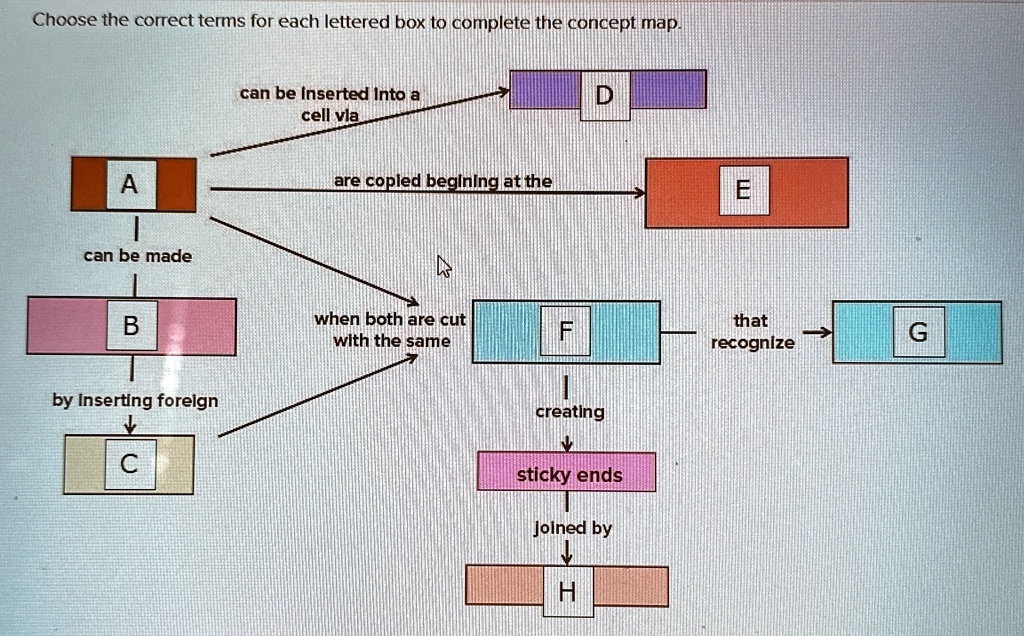 choose the correct terms for each lettered box to complete the concept map a can be made b by ...