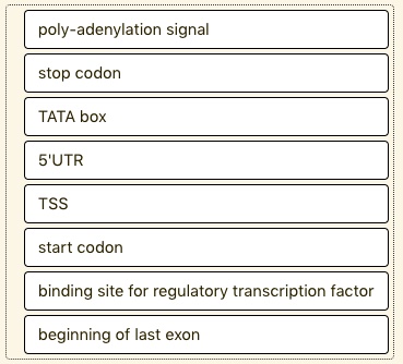 SOLVED: poly-adenylation signal stop codon TATA box 5'UTR TSS start ...