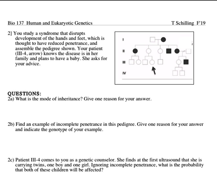 bio 137 human and eukaryotic genetics t schilling f19 2 you study ...