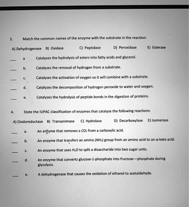 match the common names of the enzyme with the substrate the reaction a ...