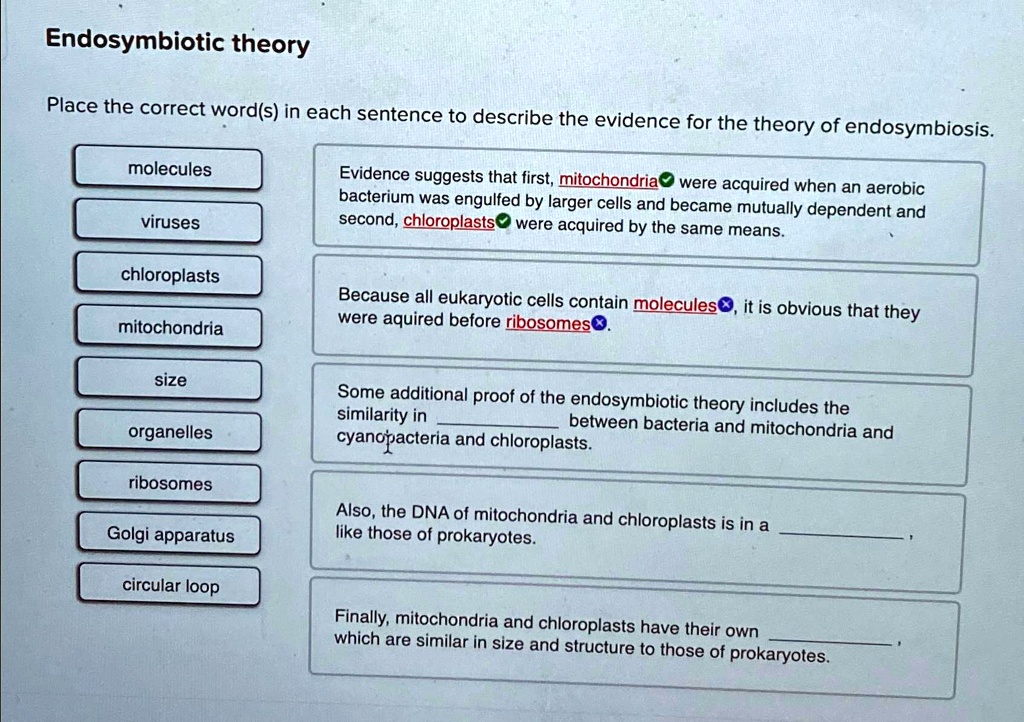Endosymbiotic theory Place the correct word(s) in each sentence to ...