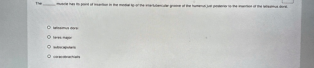 The muscle has its point of insertion in the medial lip of the ...
