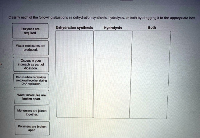 classliy each ol the following situations as dehydration synthesls ... classliy each ol the following situations as dehydration synthesls ...