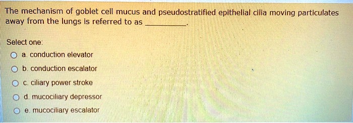 SOLVED: The mechanism of goblet cell mucus and pseudostratified ...