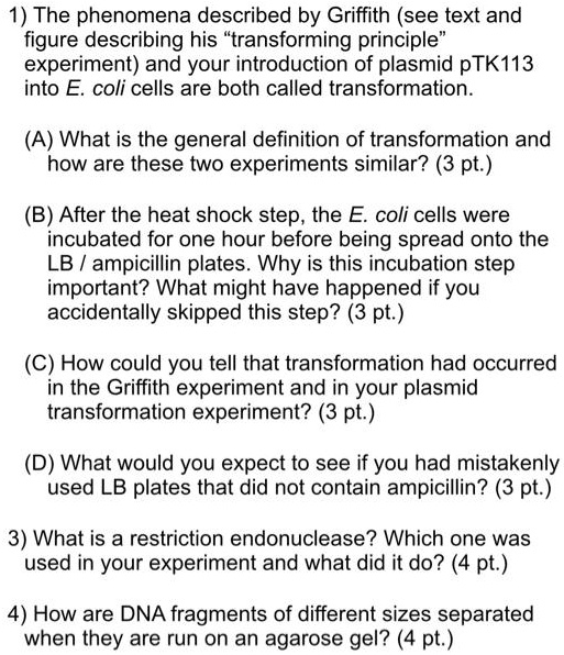 SOLVED: 1The phenomena described by Griffith (see text and figure ...