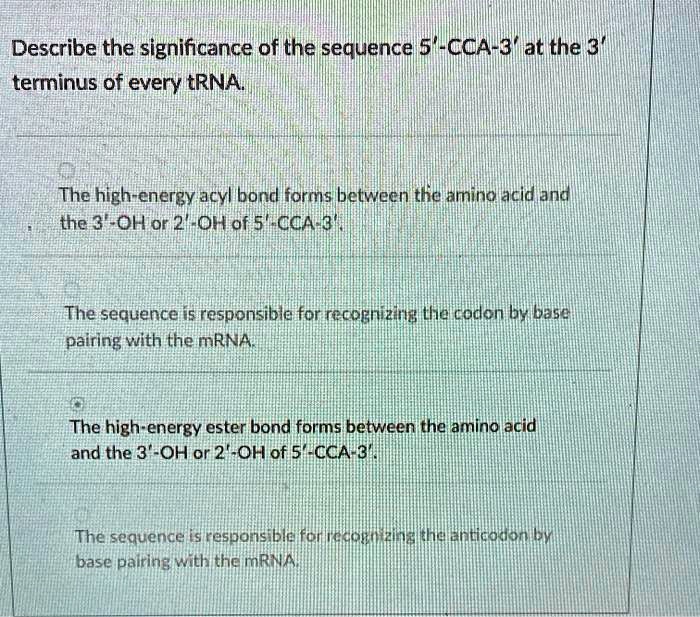 SOLVED: Describe the significance of the sequence 5 -CCA-3 at the 3 ...
