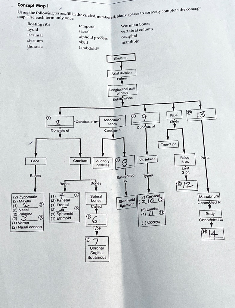 SOLVED: Final Concept Map: Using the following terms, correctly complete the circled blank ...